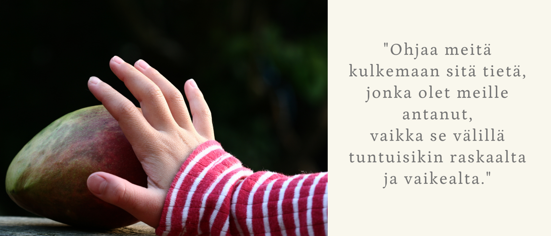 18.02.2024 klo 10:00 - 11:30